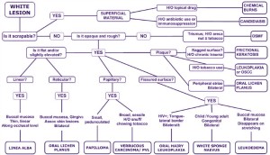 Hairy Leukoplakia - Pictures, Treatment, Diagnosis, Features