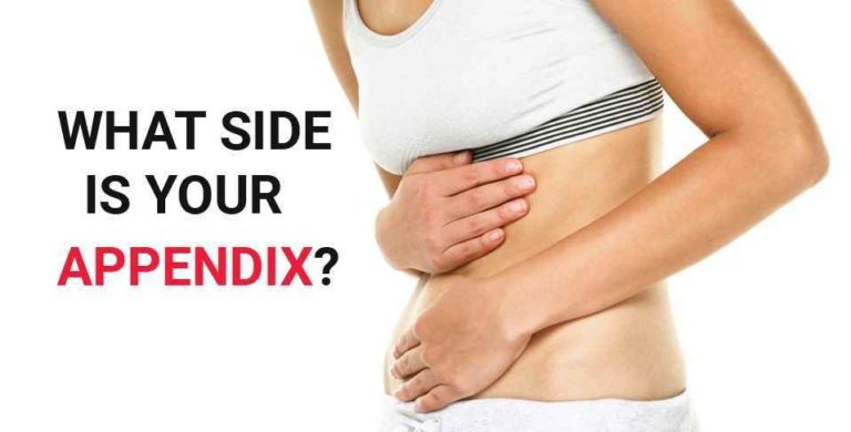 What Side Is Your Appendix On 